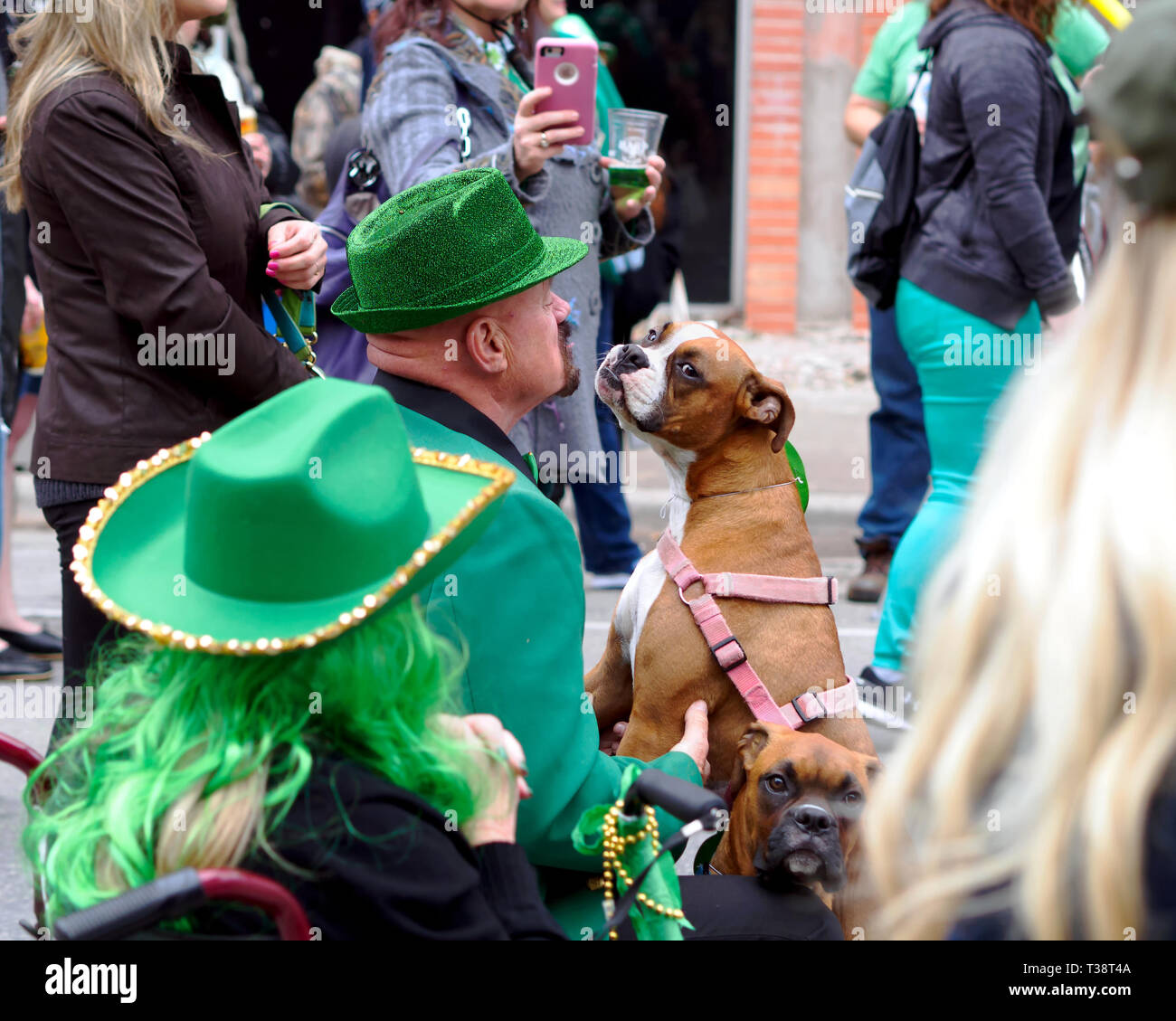 Man dog face to face hi-res stock photography and images - Alamy