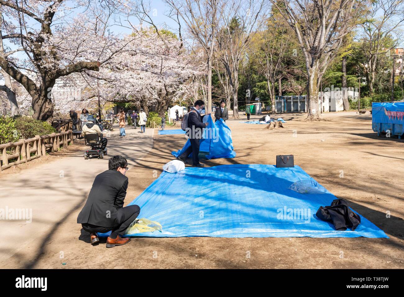 Men keeping their Hanami place during Cherry blossoms season ...