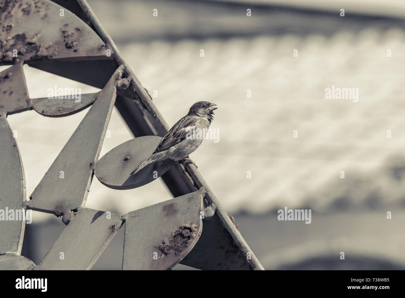 Full of rust hi-res stock photography and images - Alamy