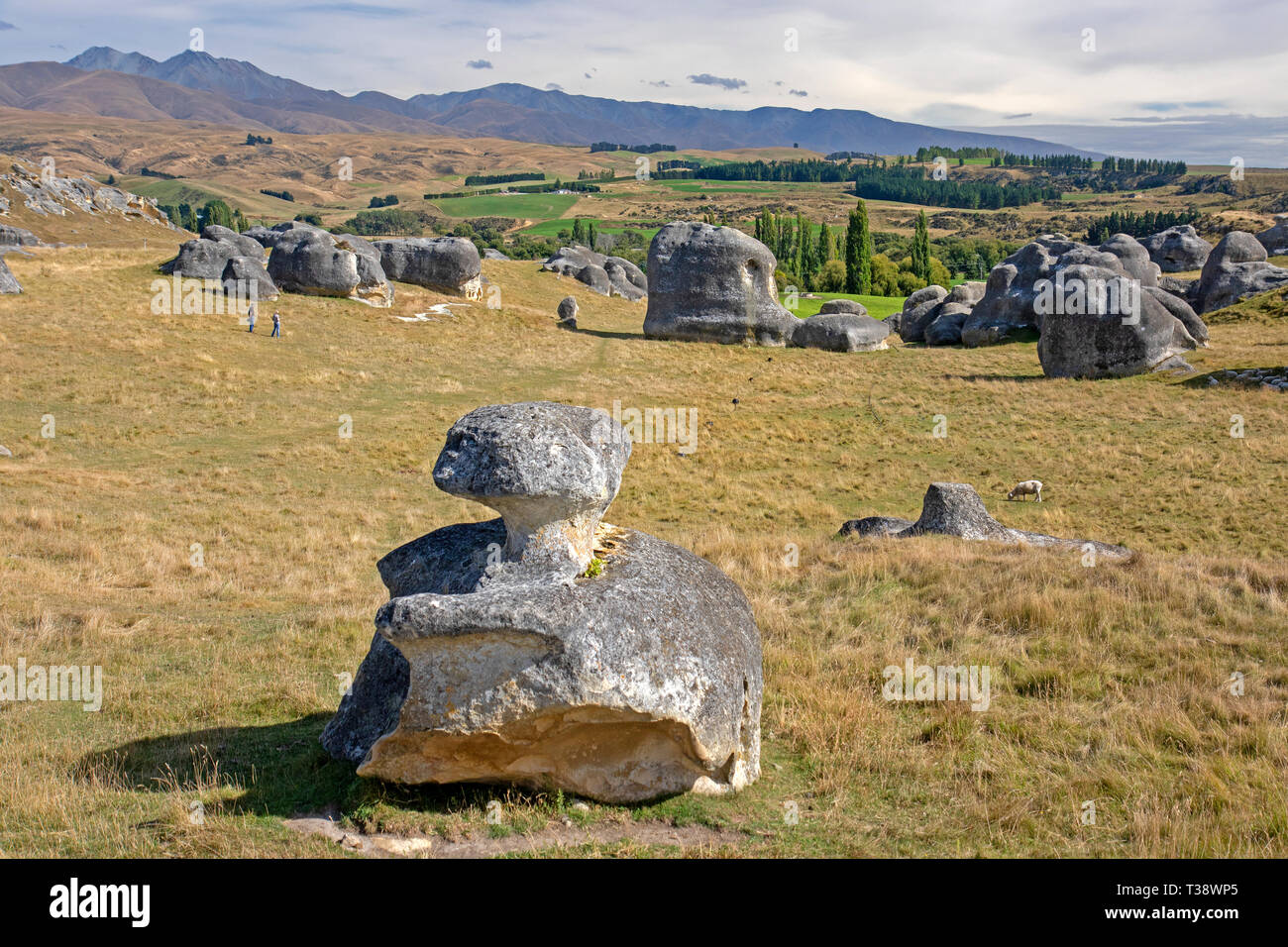 Elephant rocks hi-res stock photography and images - Alamy