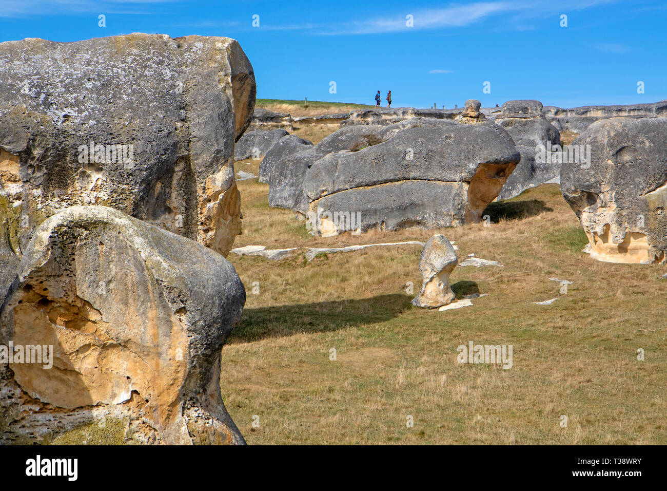 Elephant rocks hi-res stock photography and images - Alamy