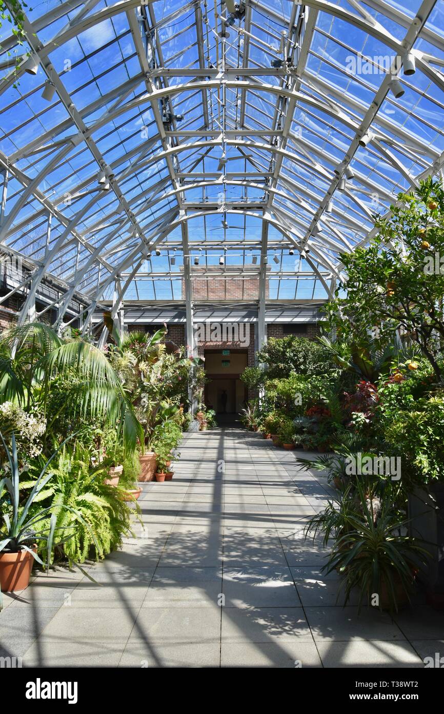 Inside the tropical greenhouse at Tower Hill Botanical Garden in ...
