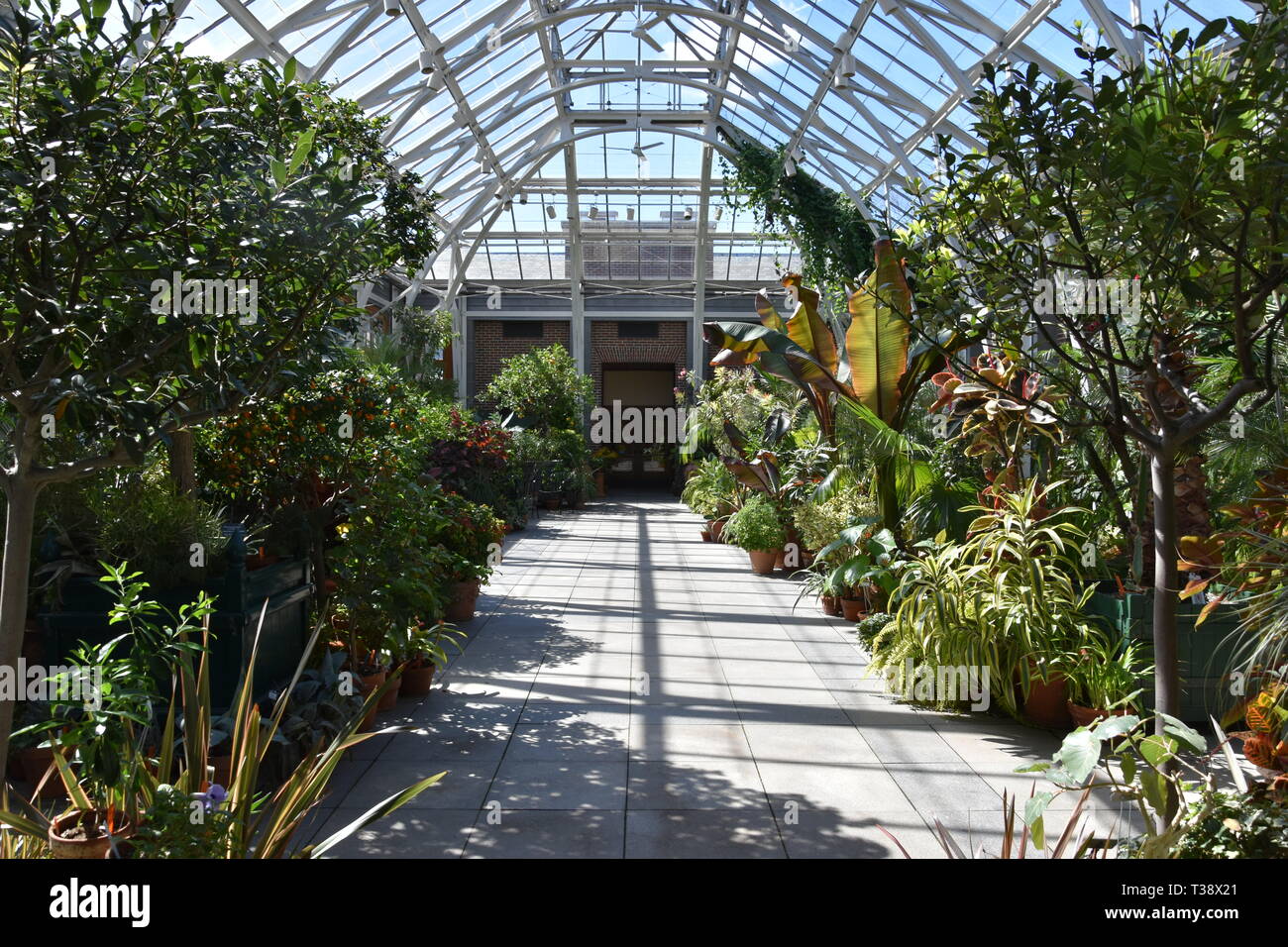 Inside the tropical greenhouse at Tower Hill Botanical Garden in ...