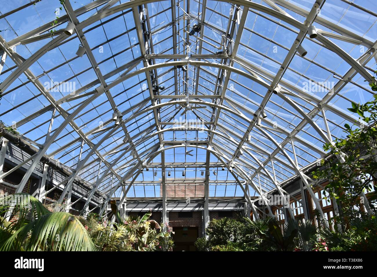 Inside the tropical greenhouse at Tower Hill Botanical Garden in ...