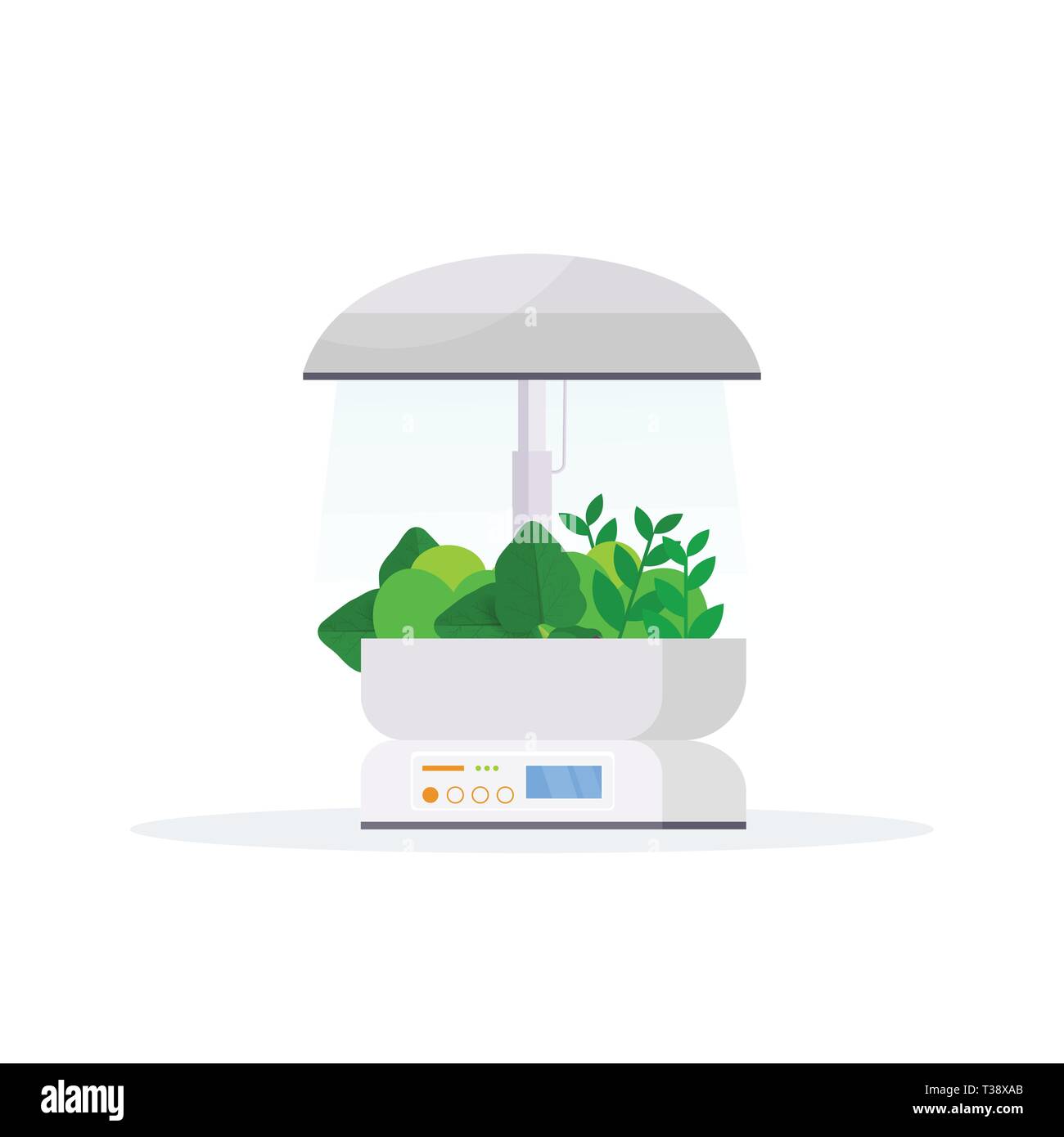 Hydroponic garden plants Stock Vector Images - Alamy
