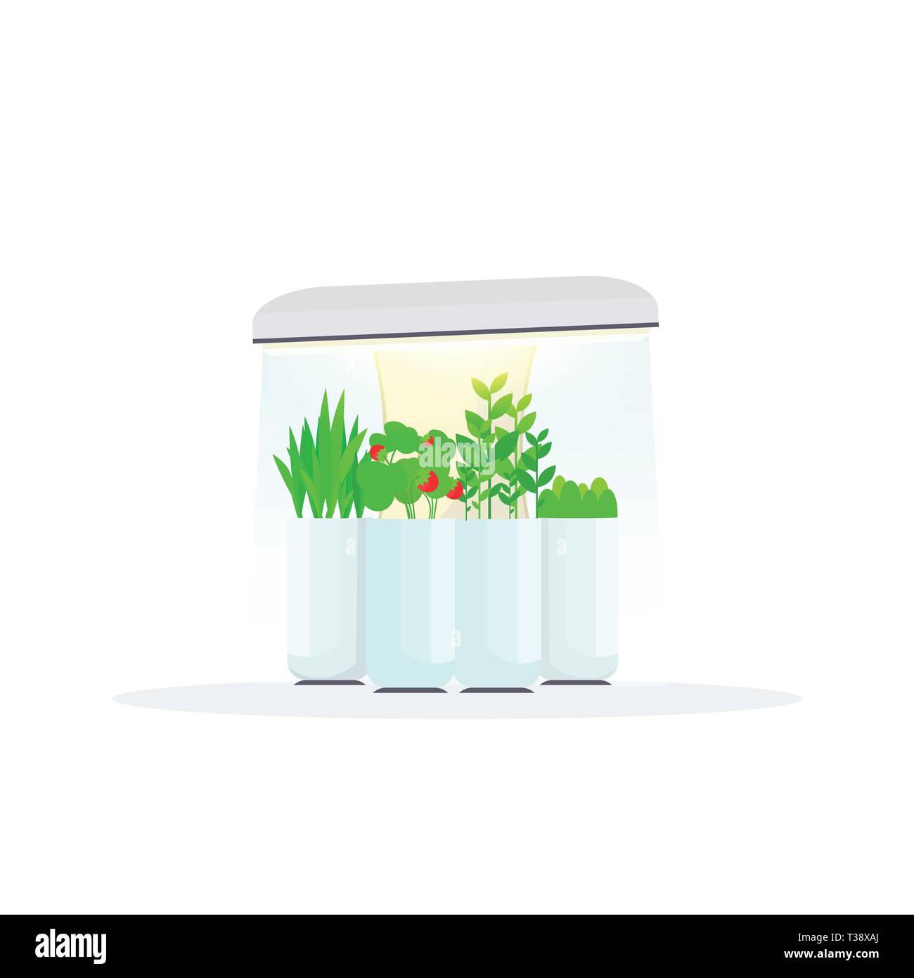 Hydroponic garden plants Stock Vector Images - Alamy