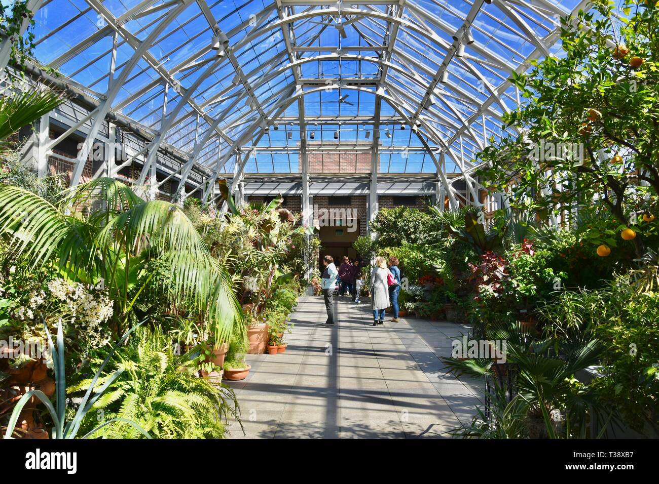 Inside the tropical greenhouse at Tower Hill Botanical Garden in ...