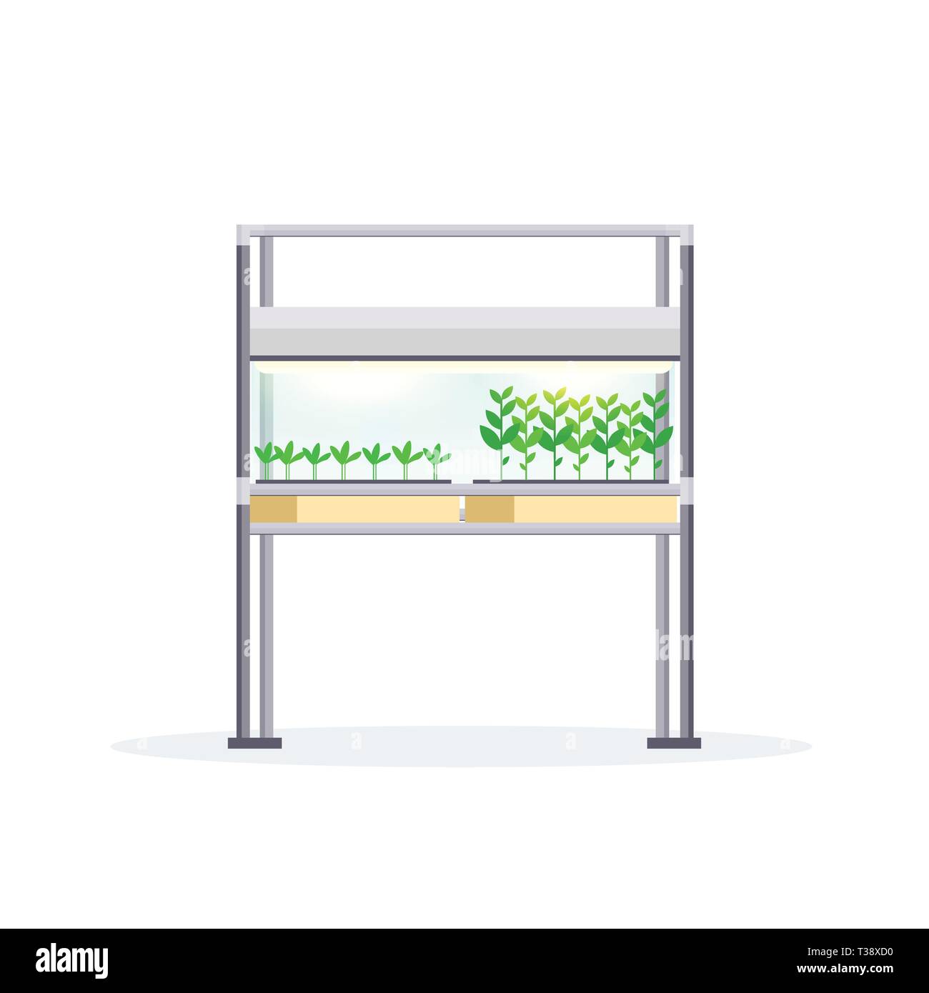 Hydroponic garden plants Stock Vector Images - Alamy