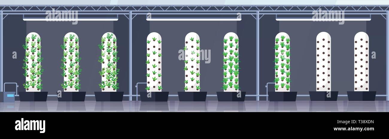 modern organic hydroponic vertical farm interior agriculture smart ...