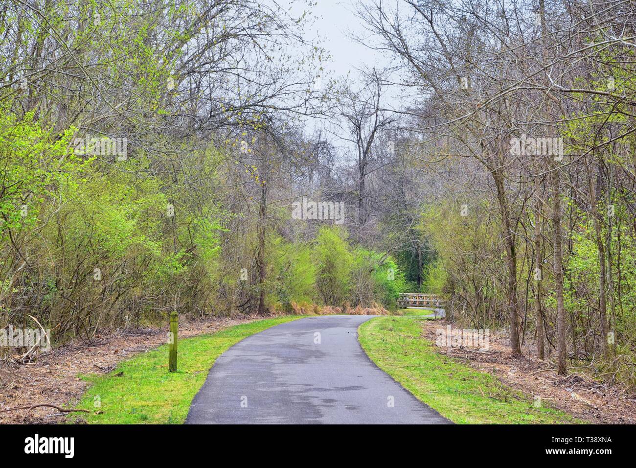 Views of Nature and Pathways along the Shelby Bottoms Greenway and ...