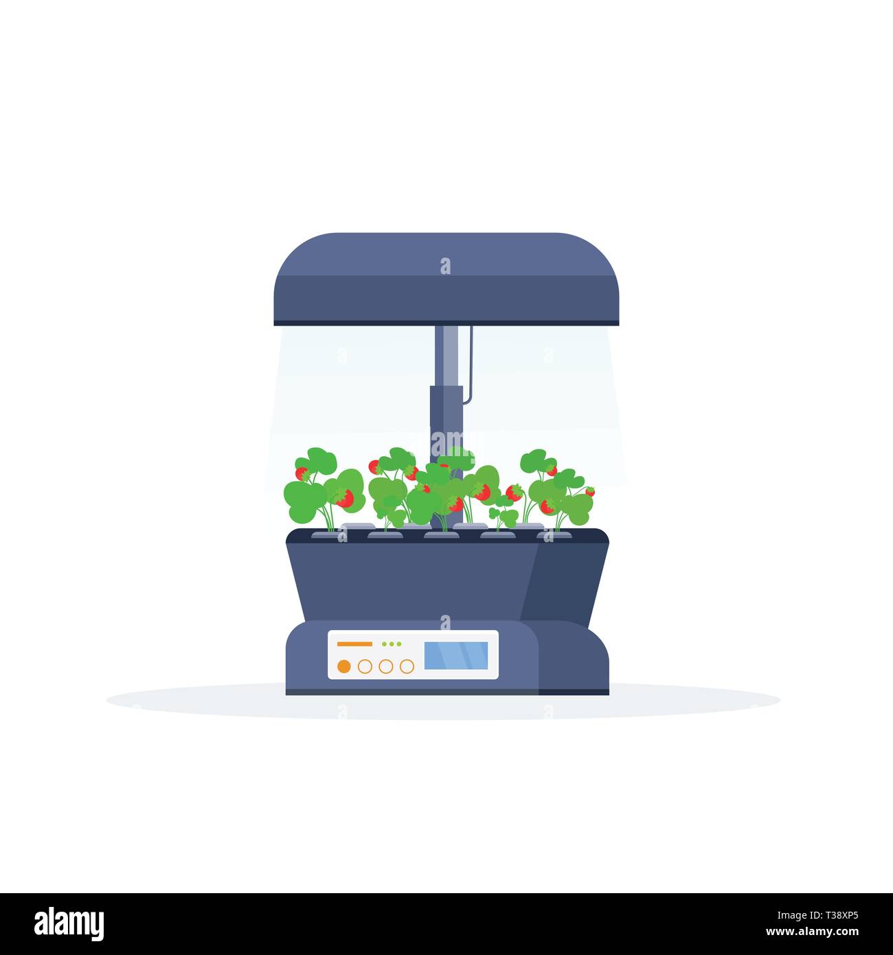 Garden floral display Cut Out Stock Images & Pictures - Alamy