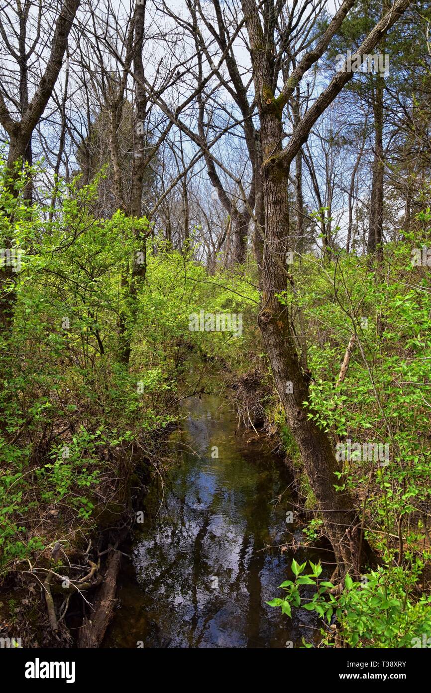 Beautiful pathways along water hi-res stock photography and images - Alamy