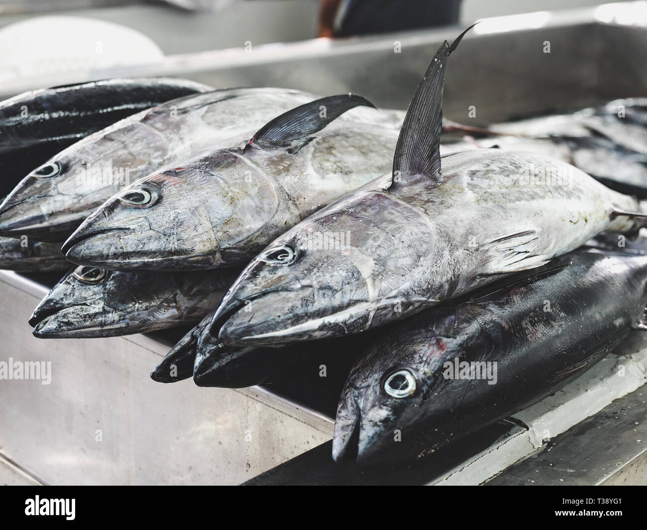 Fresh fish at the fish market. Close-up. Concept of healthy eating ...