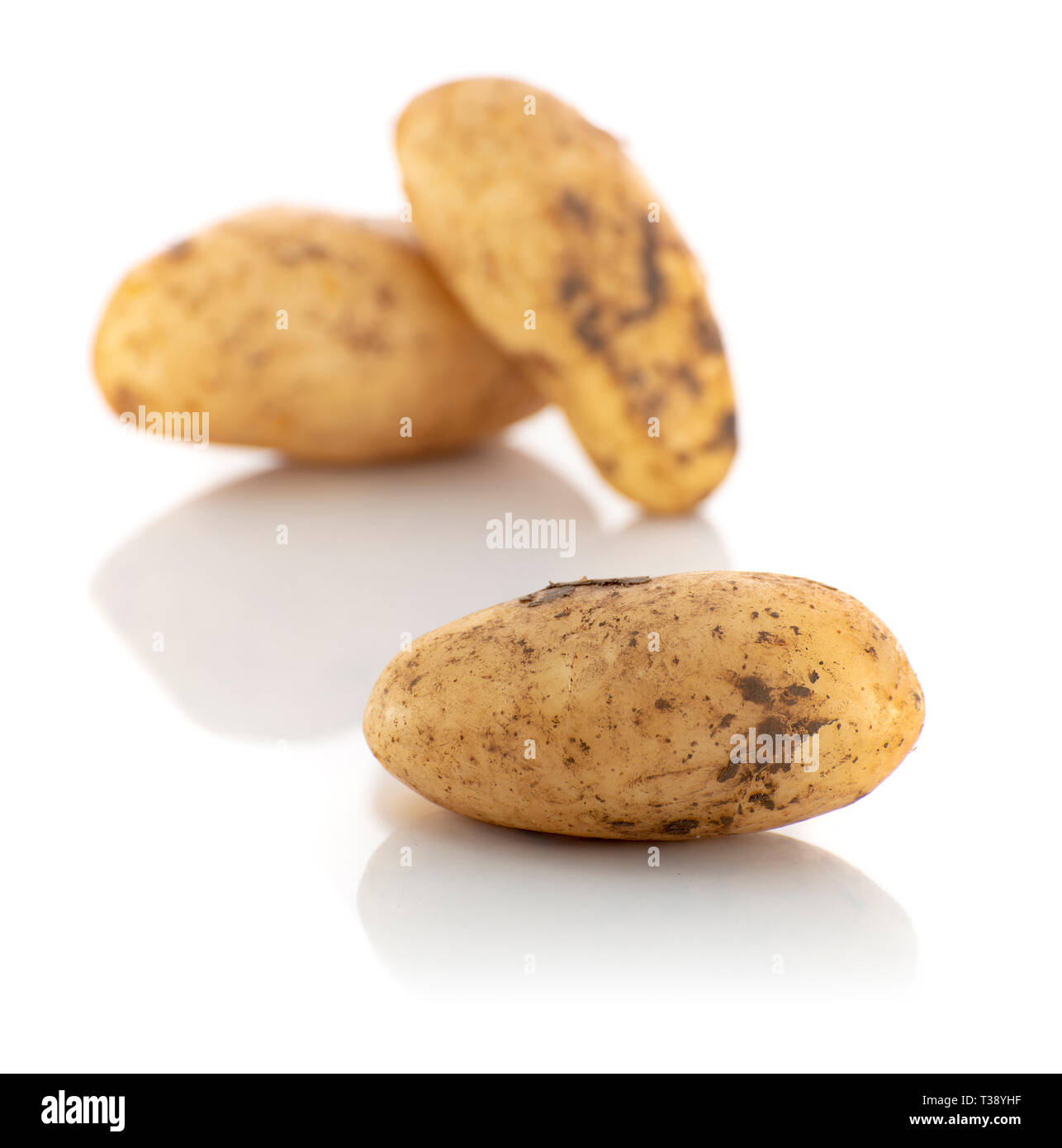 Three Fresh Harvested Organic Soil Potatoes Isolated on White ...
