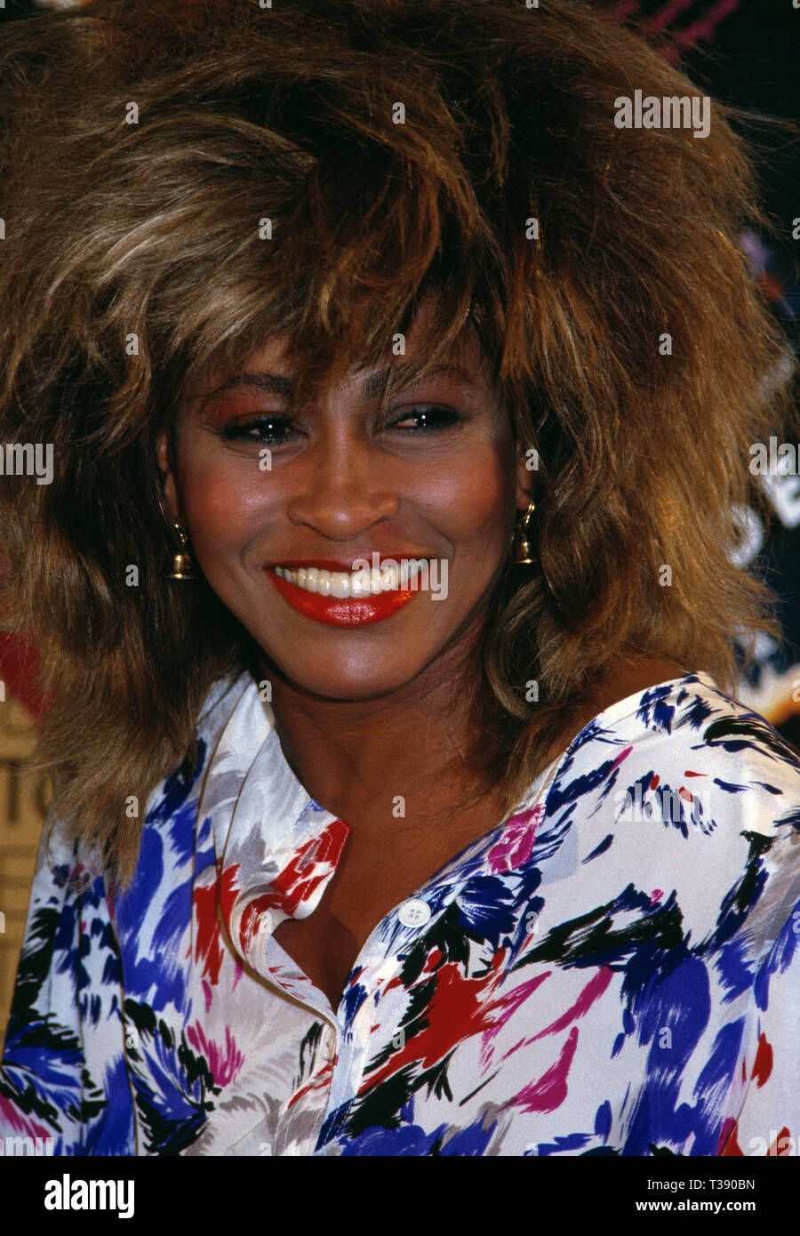 Tina turner hi-res stock photography and images - Alamy