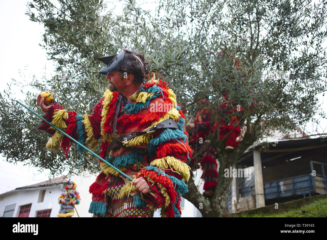 Festa dos Rapazes, or Festa de Santo EstevÃ£o (Saint Stephen), a ...