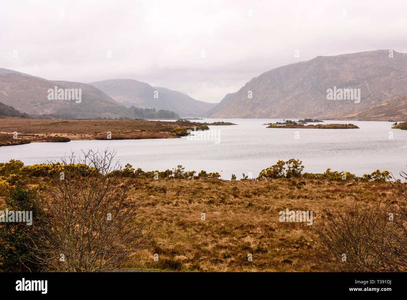 Beagh High Resolution Stock Photography and Images - Alamy