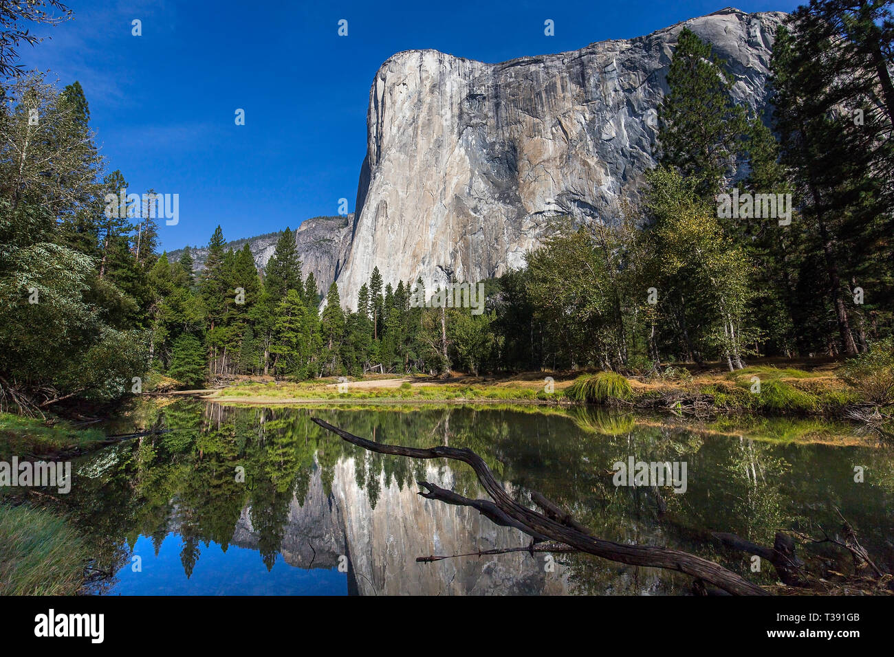 World famous rock climbing wall of El Capitan, Yosemite national park ...