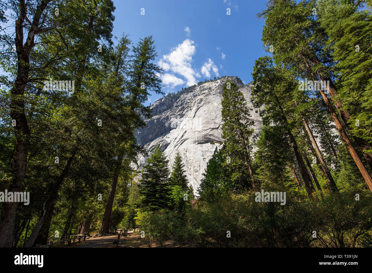 World famous rock climbing wall of El Capitan, Yosemite national park ...