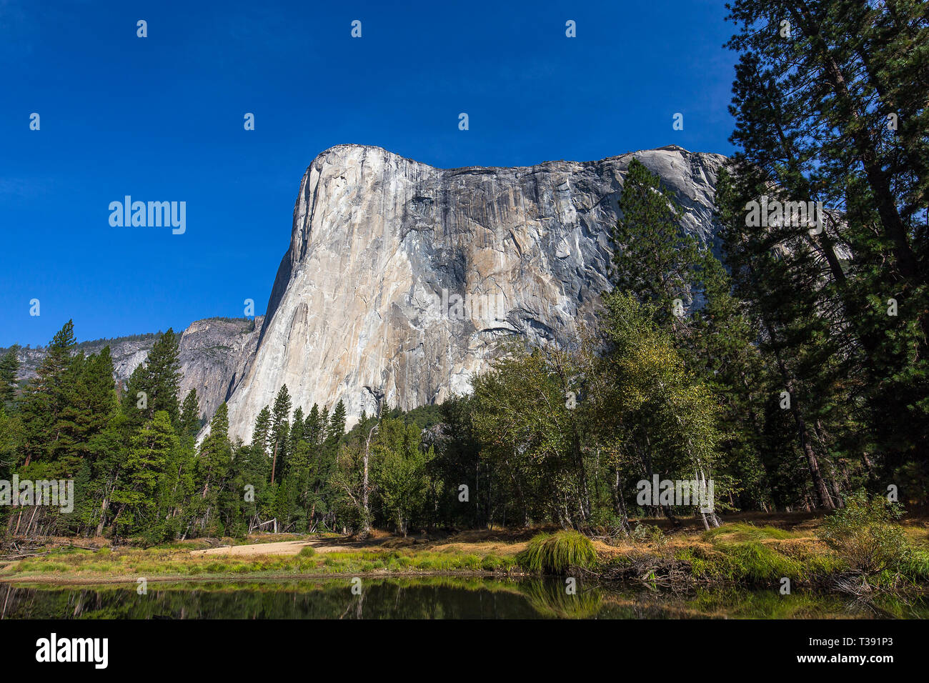 World famous rock climbing wall of El Capitan, Yosemite national park ...