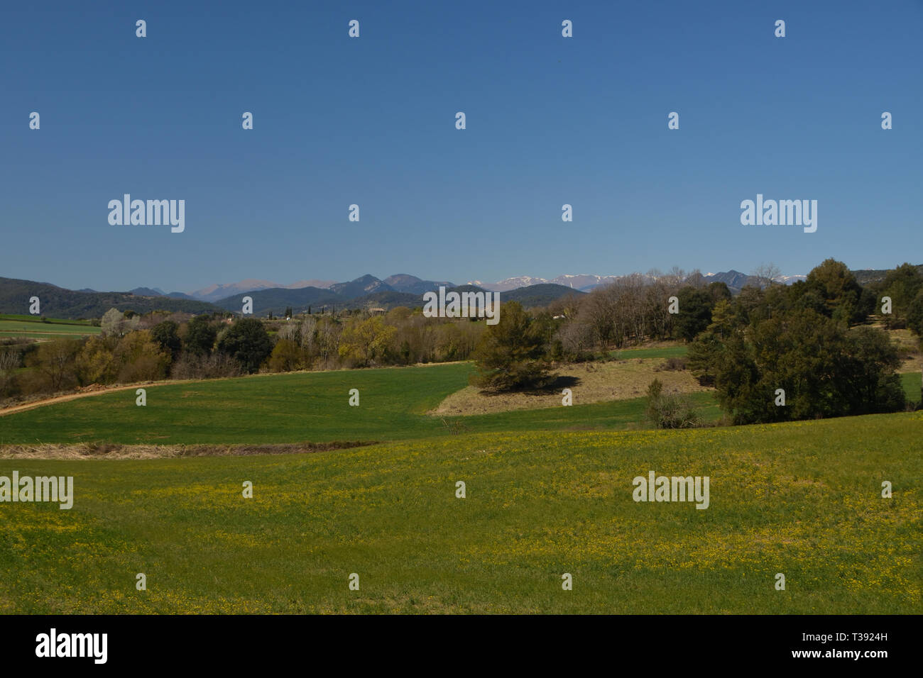 Rolling green scenery in the foothills of the Spanish Pyrenees Stock ...