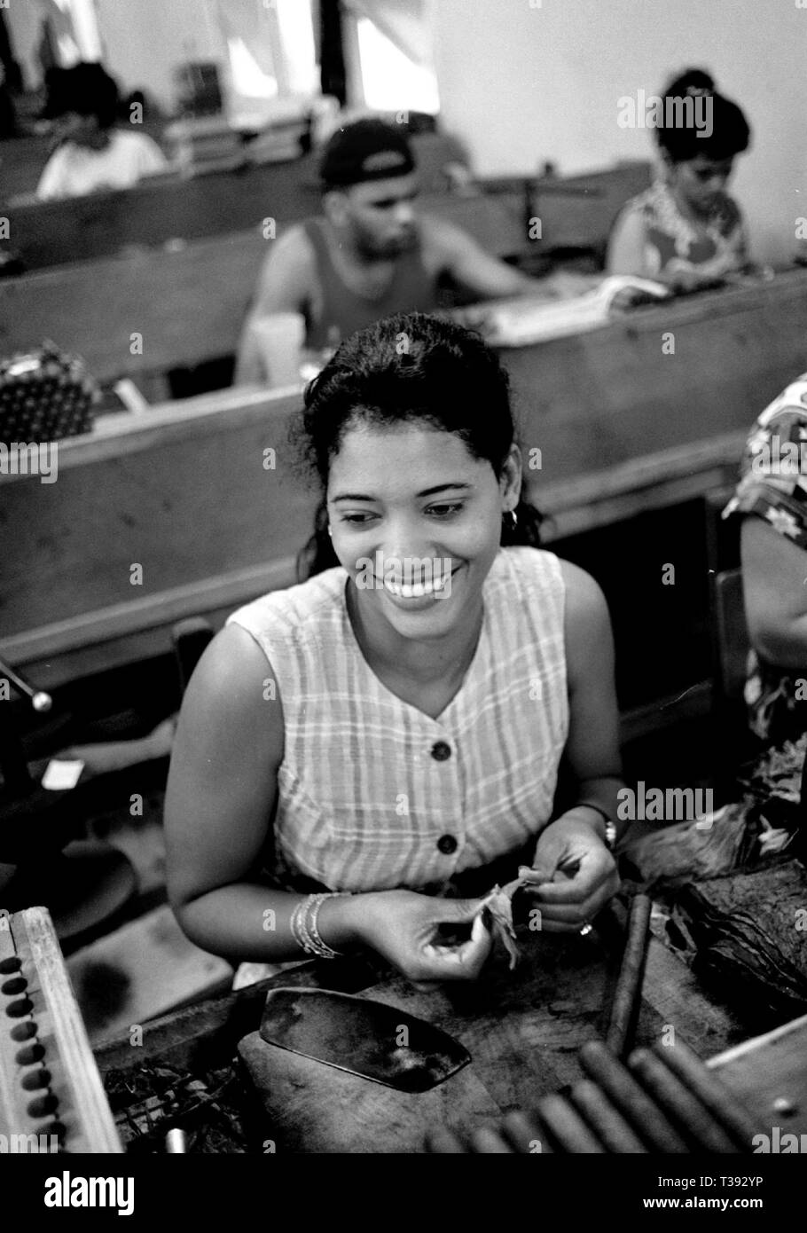 Pinar del rio cigar factory hi-res stock photography and images - Alamy