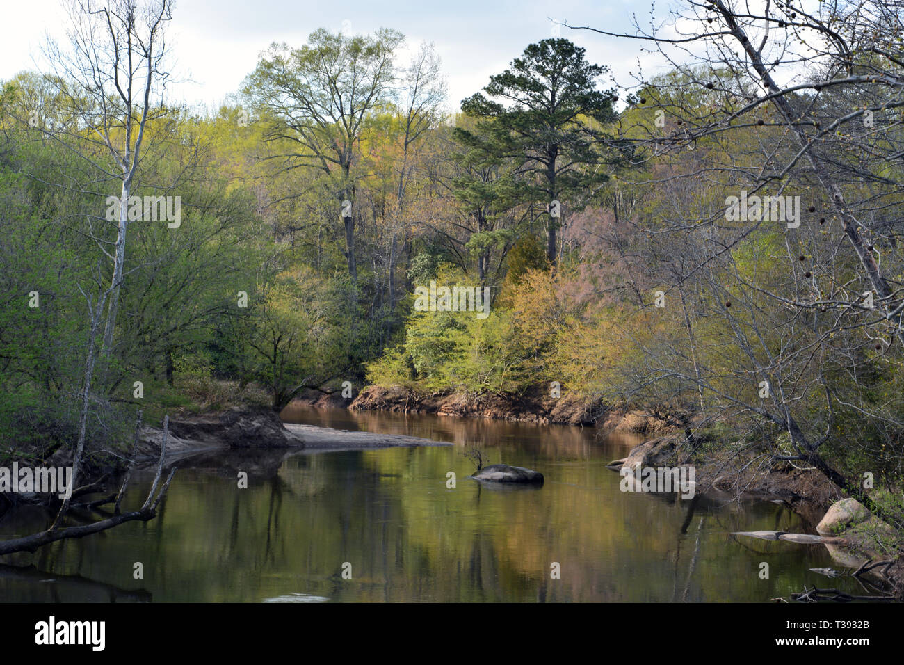 Neuse river greenway trail hi-res stock photography and images - Alamy
