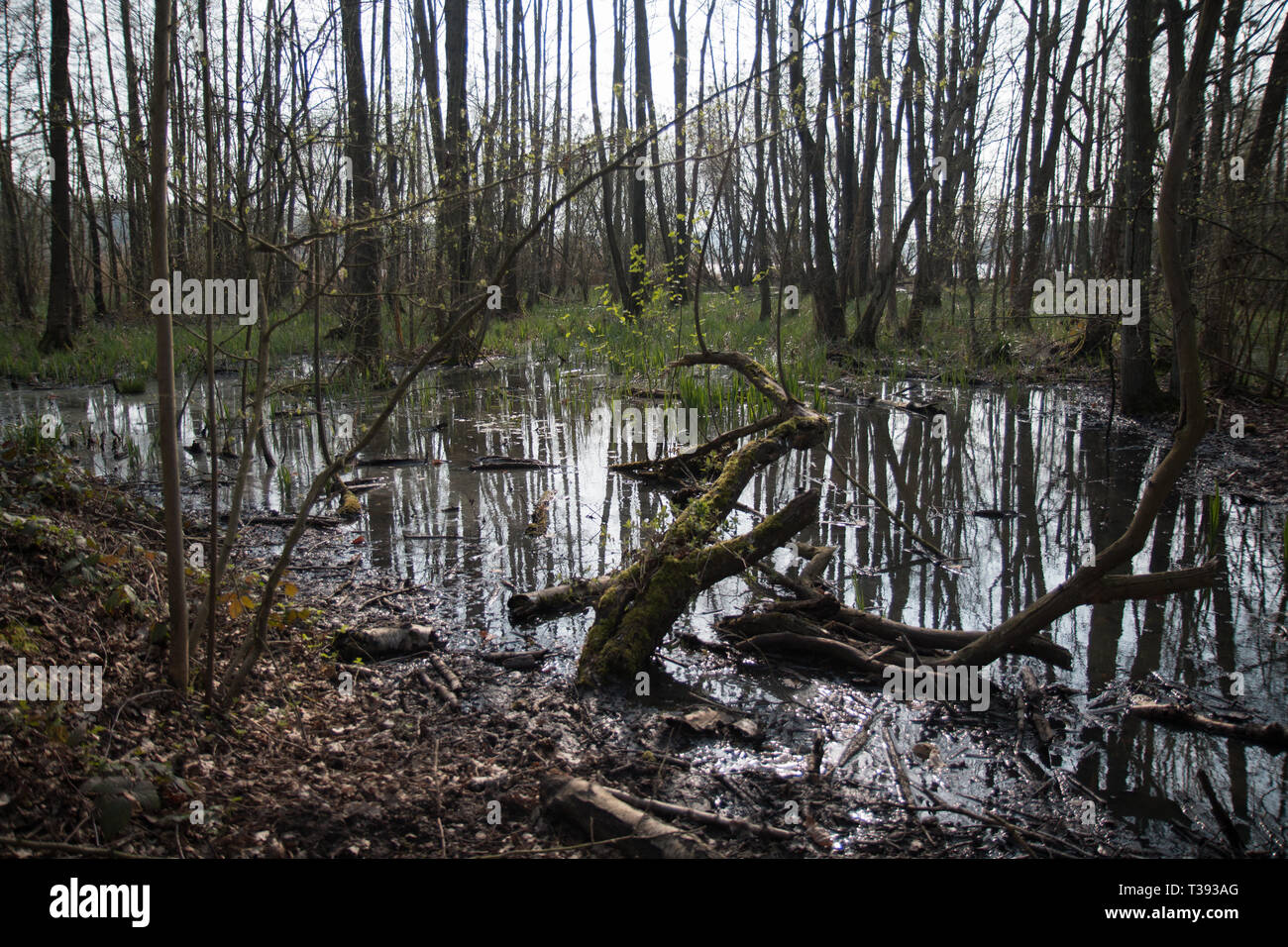 Scarpe river hi-res stock photography and images - Alamy