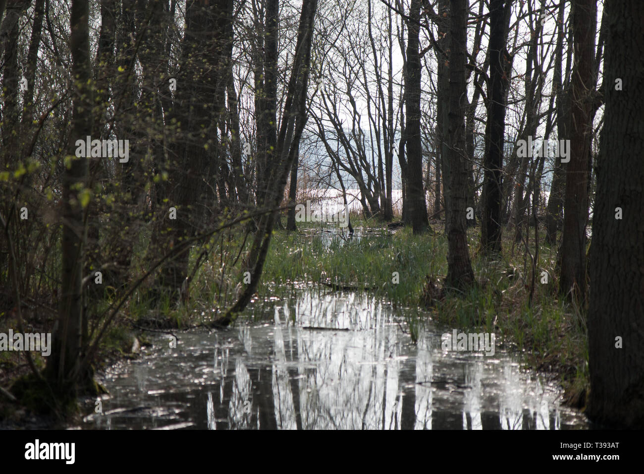 Scarpe river hi-res stock photography and images - Alamy