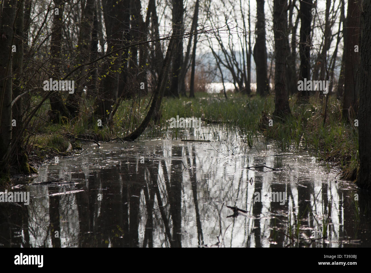 Scarpe river hi-res stock photography and images - Alamy
