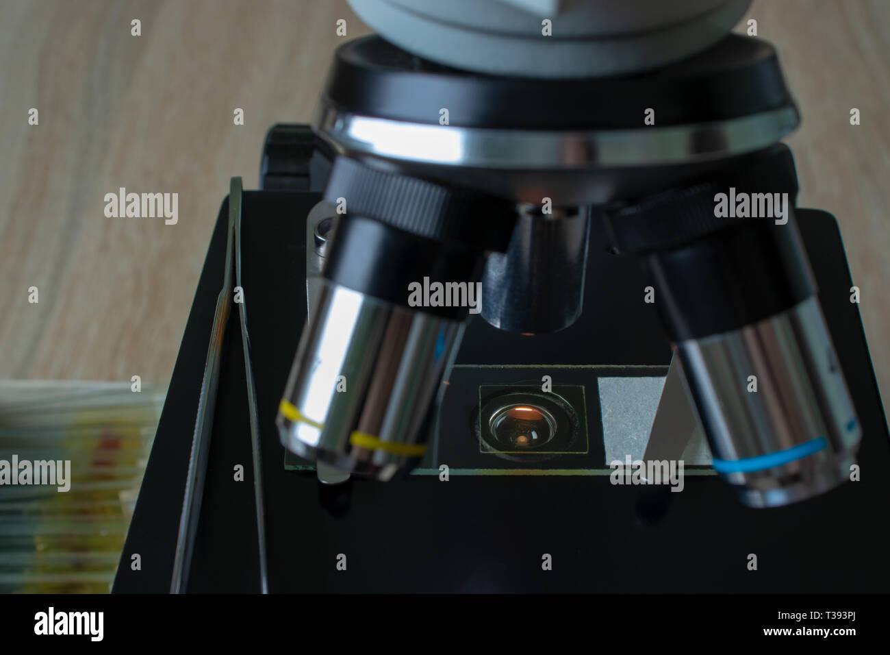 Microscope on the desk of the biologist with the micro-specimens, a ...