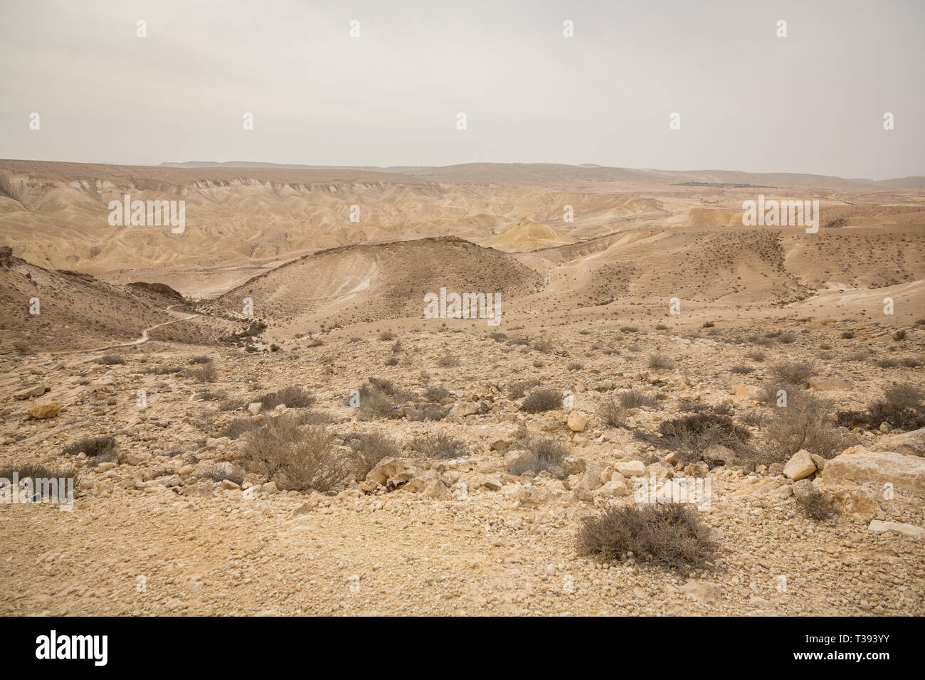 Scenic view of sand, hills and rocks in Negev Desert in Mitzpe Ramon ...