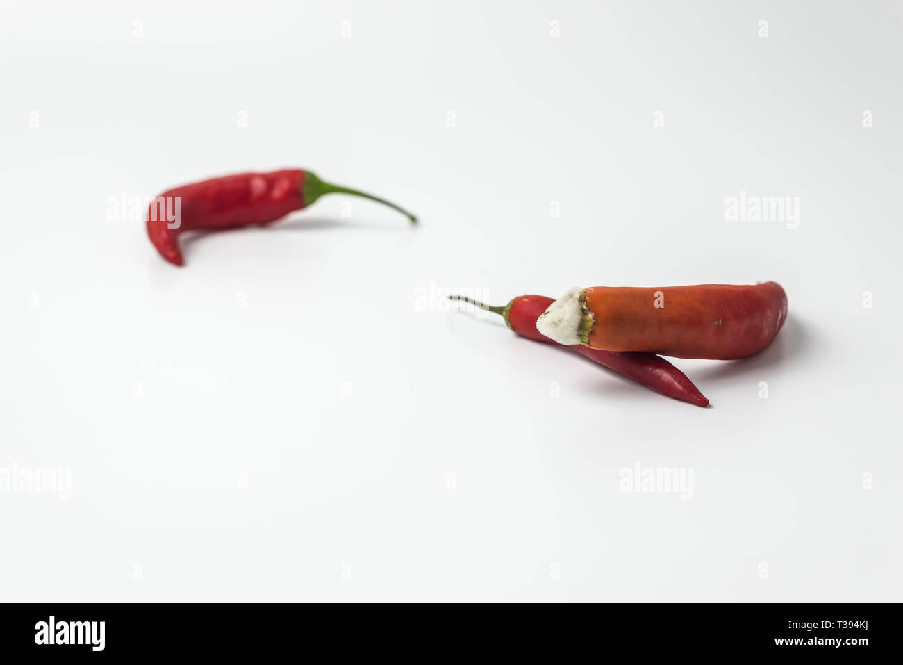 ugly red hot chilli pepper with mold Stock Photo - Alamy