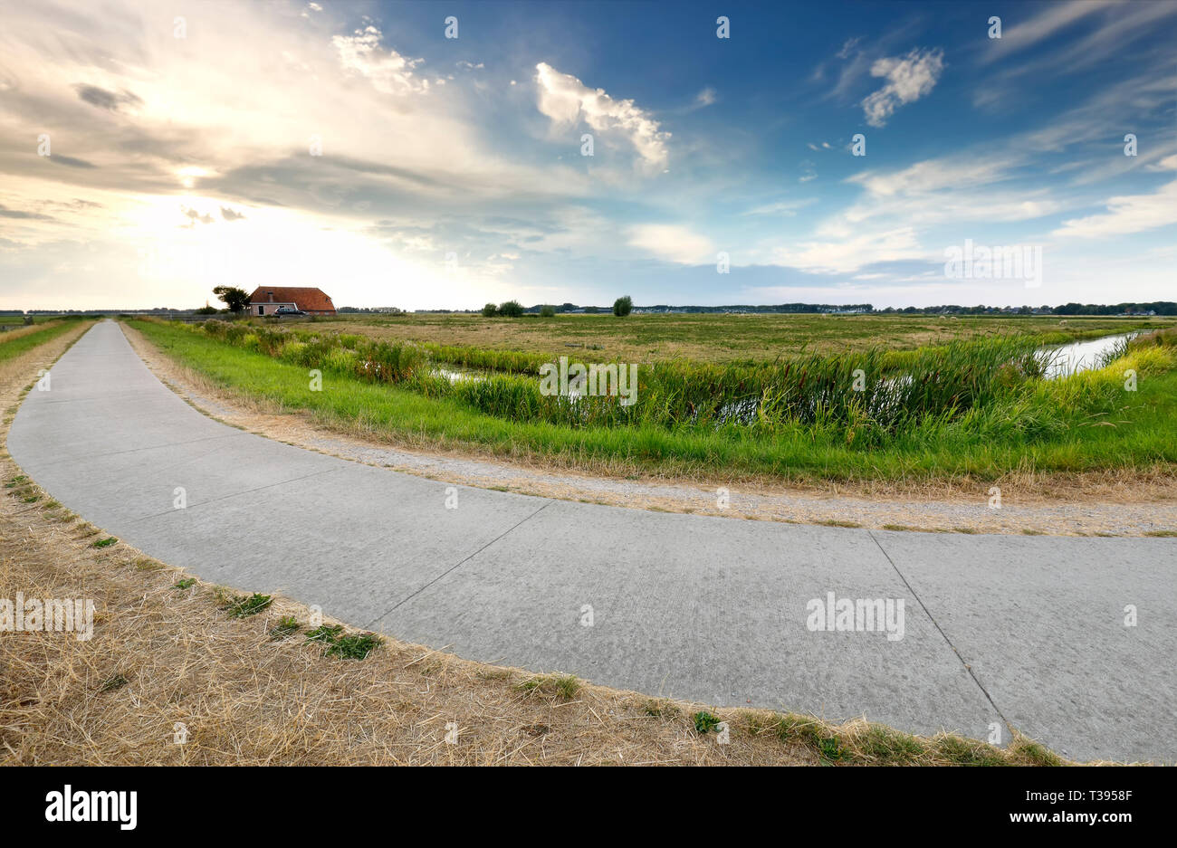 countryside road in dutch farmland, Holland Stock Photo - Alamy