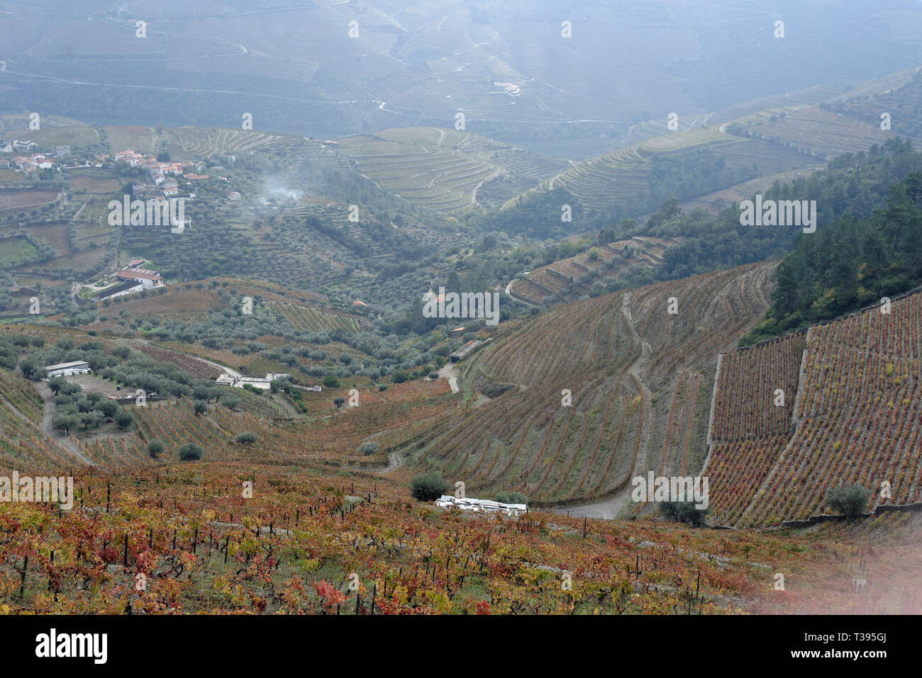 Sabrosa portugal hi-res stock photography and images - Alamy