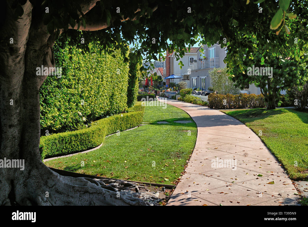 A nicely landscaped pedestrian path on Lido Island in Newport Beach ...