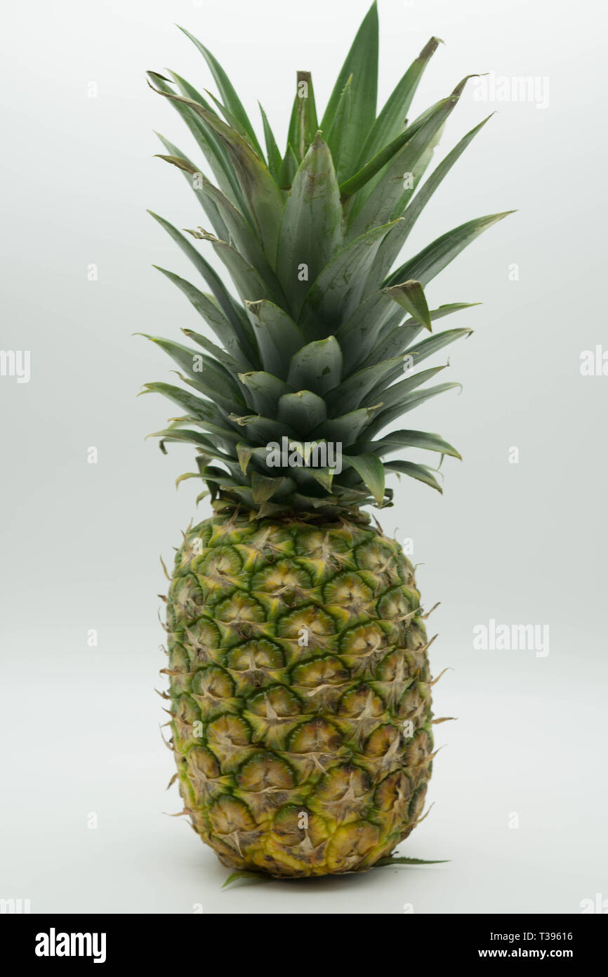 single standing pineapple with a large stem on an isolated white ...
