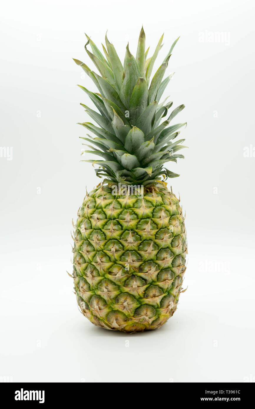 single standing fat and juicy pineapple on an isolated white background ...