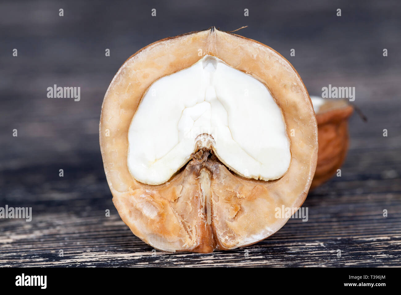 split half ripened walnut, white kernel, on the table Stock Photo - Alamy