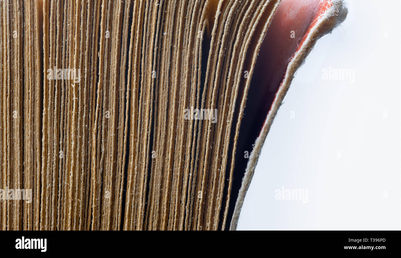 Close up image of worn corner of pages of a book Stock Photo - Alamy