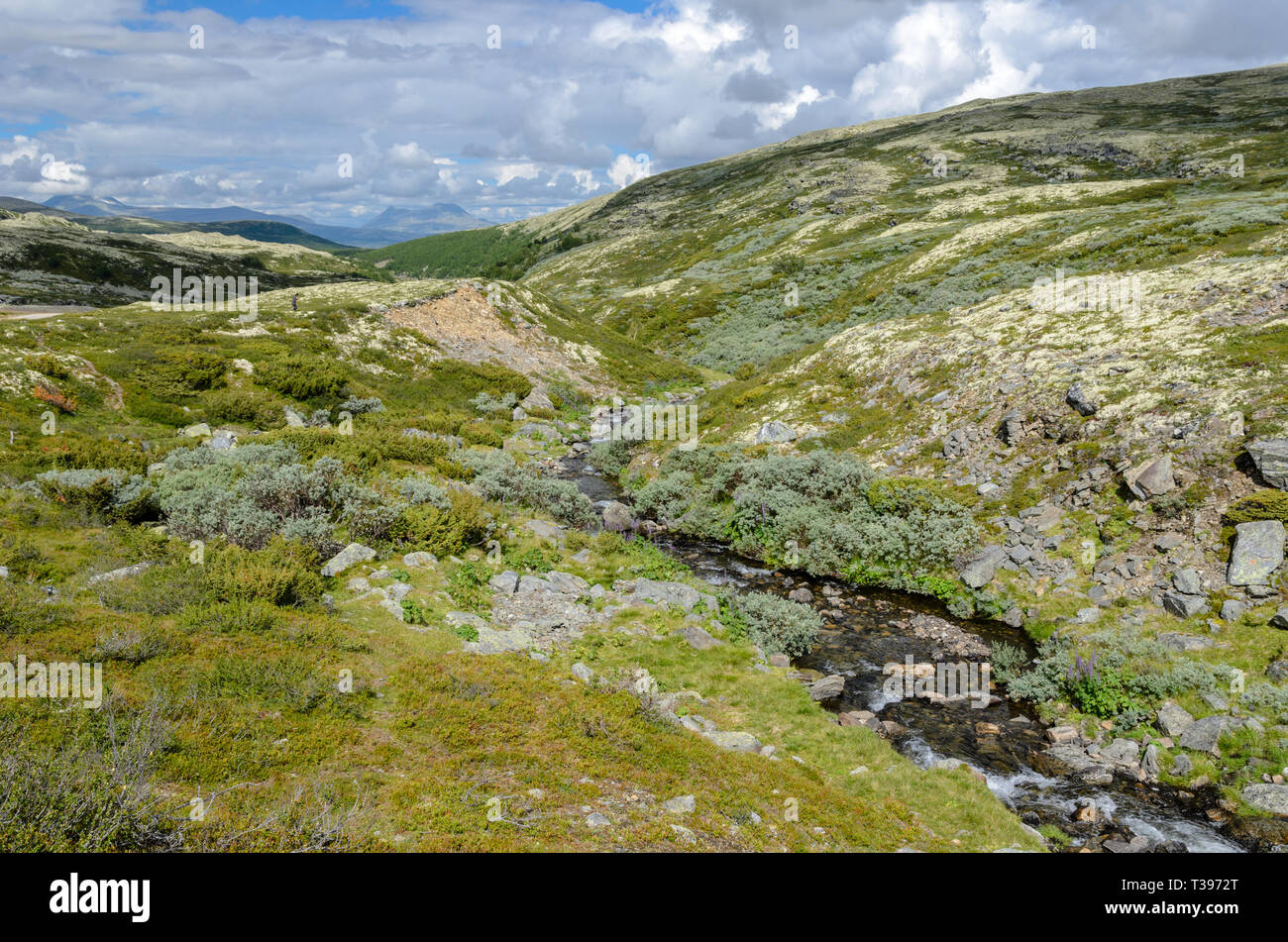 Rondane national park hi-res stock photography and images - Alamy
