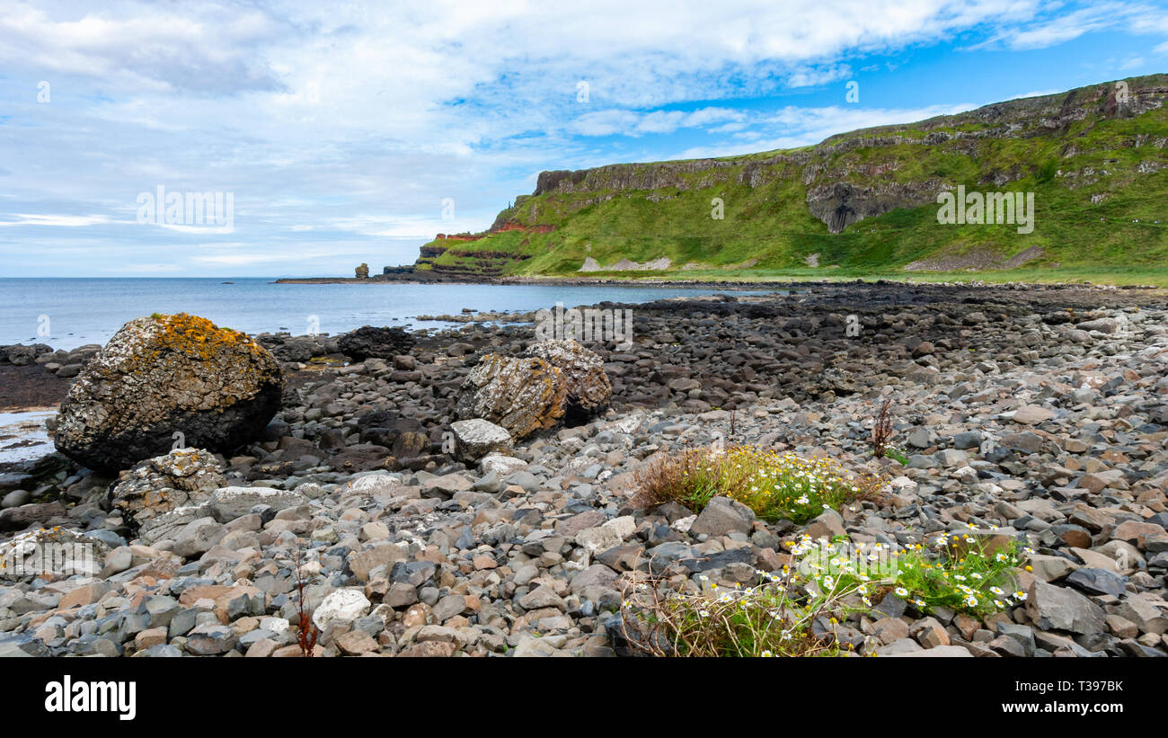 Giant's Causeway in Bushmills Northern Ireland Stock Photo - Alamy