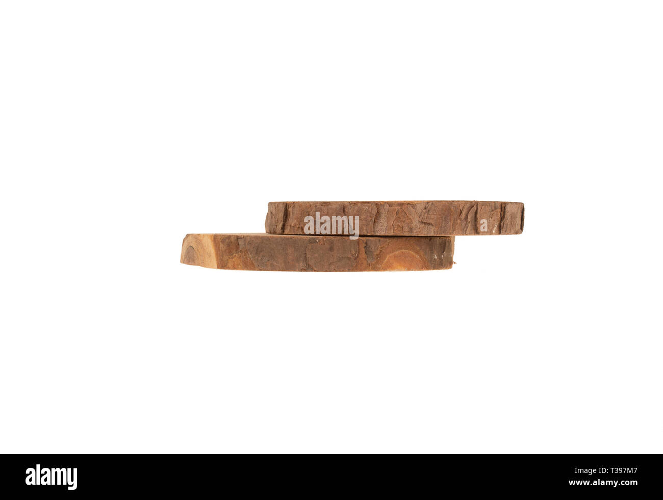 Two wooden stump isolated on white background. Cross section of tree ...