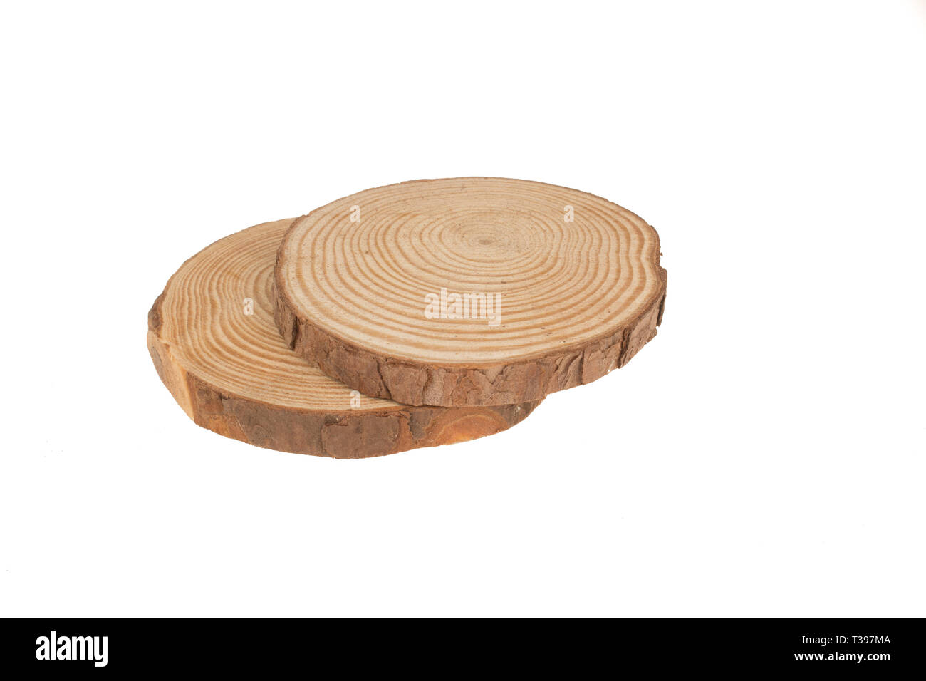 Two wooden stump isolated on white background. Cross section of tree ...