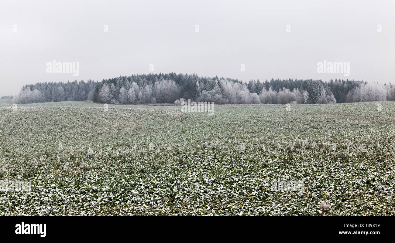 Tall mature hi-res stock photography and images - Alamy