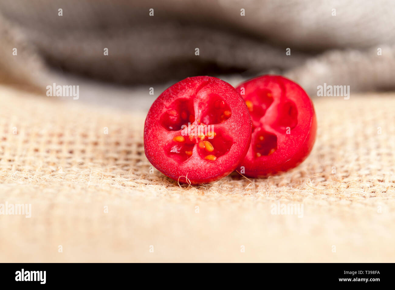 Cut a large cranberry knife half, visible seeds inside the berries ...