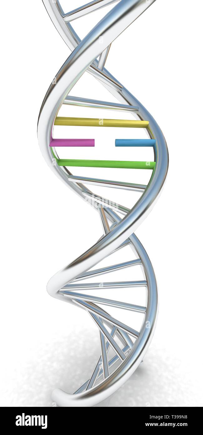 DNA structure model on white. 3d illustration Stock Photo - Alamy