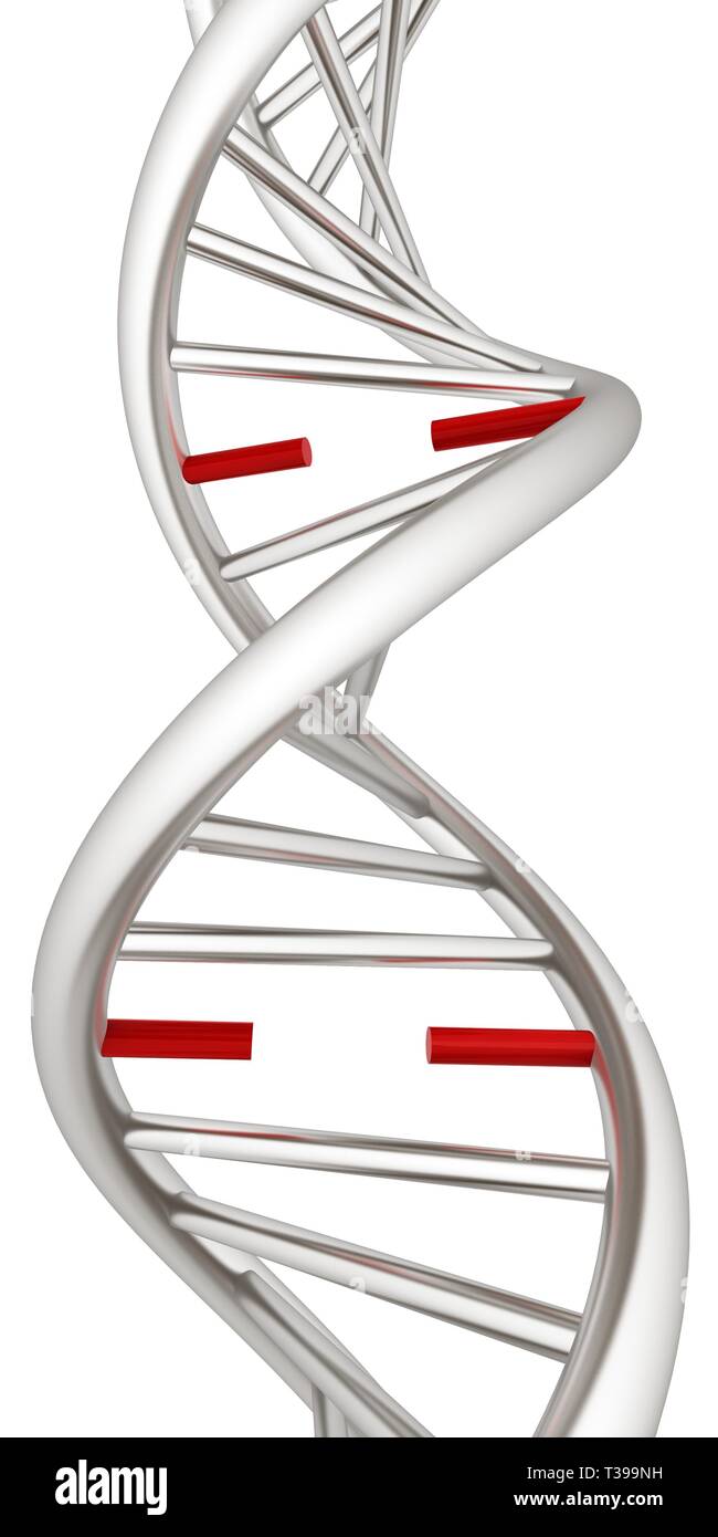 DNA structure model on white. 3d illustration Stock Photo - Alamy