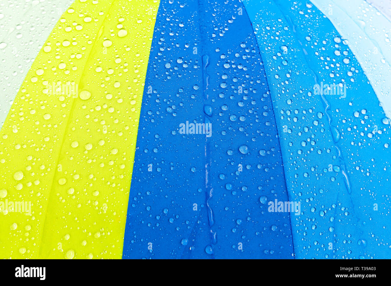 Covered with small and large drops of water, a quality umbrella that ...