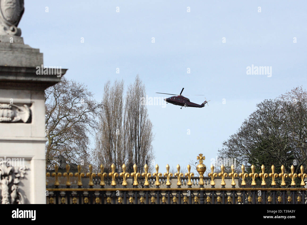 HM The Queen Elizabeth II landing in her helicopter at Buckingham ...